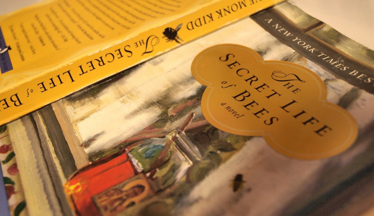 The Secret Life of Bees Essays: Themes to Consider